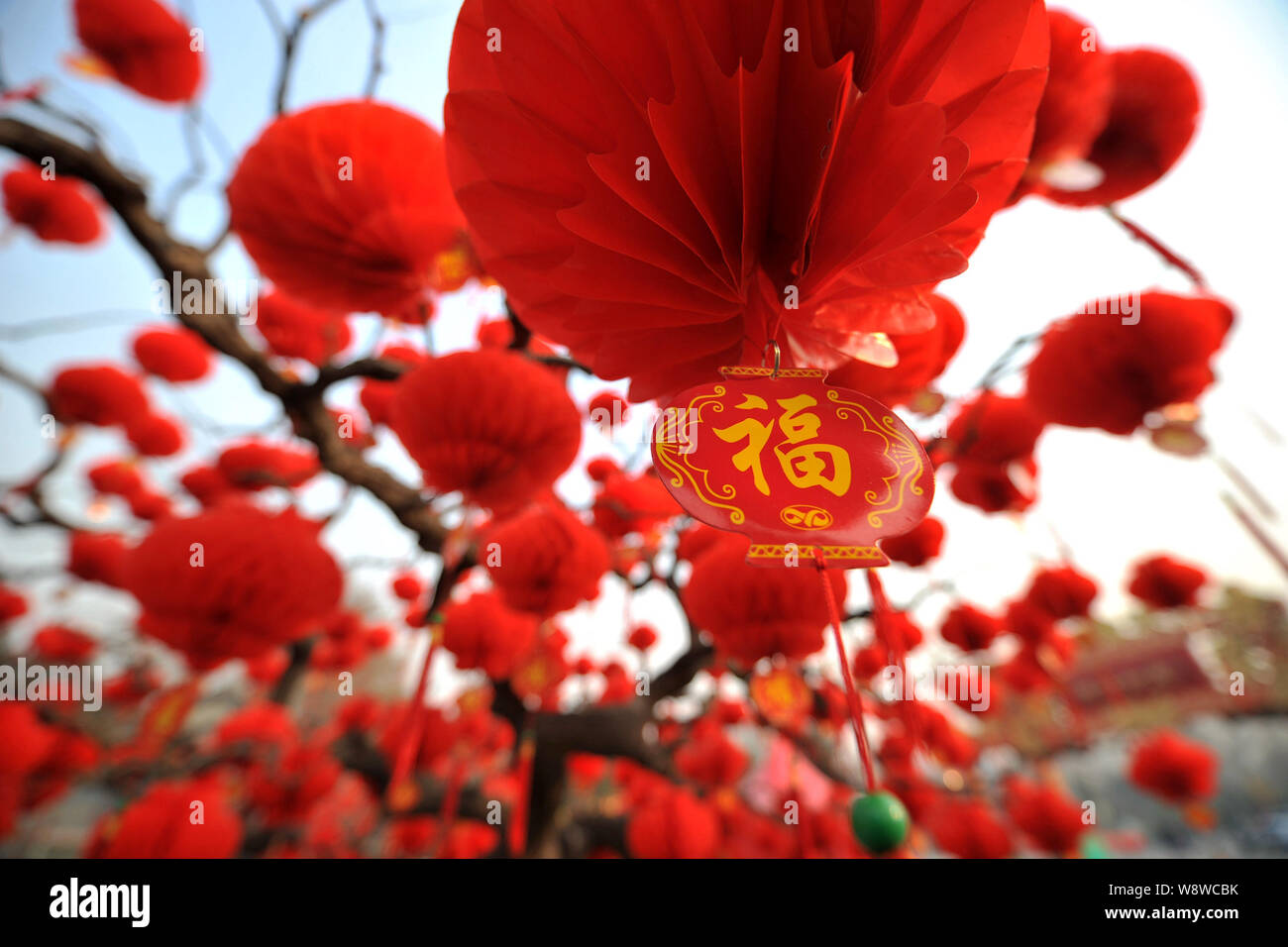 Red lantern-shaped decorations hang on a tree ahead of a temple fair to ...