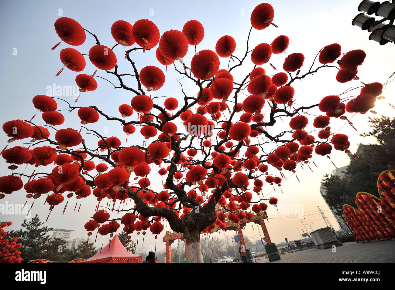 Red lantern-shaped decorations hang on a tree ahead of a temple fair to ...