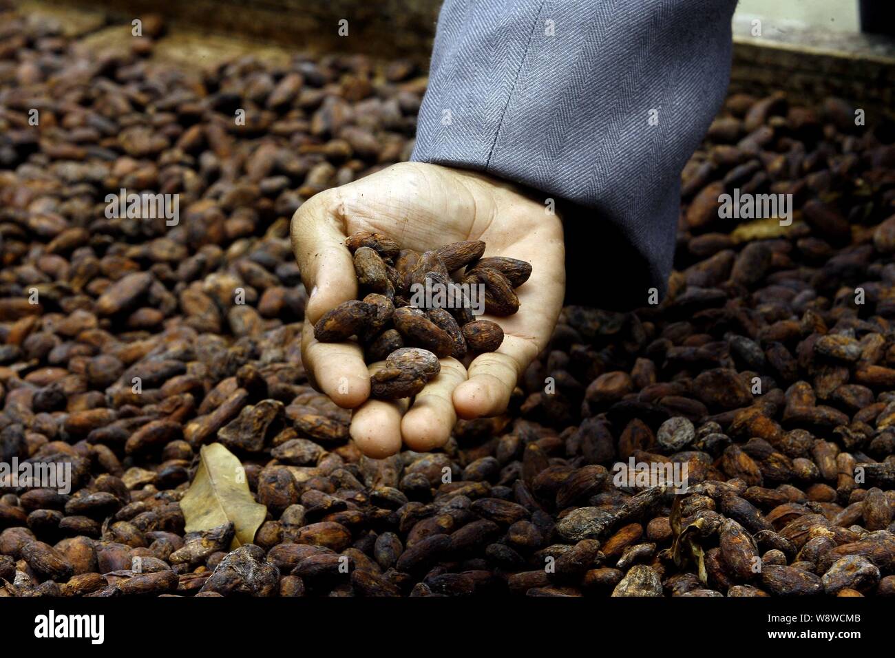 4 cultivo hi-res stock photography and images - Alamy