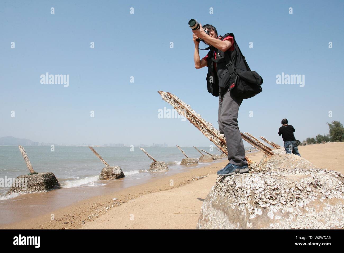 Lesser kinmen hi-res stock photography and images - Alamy