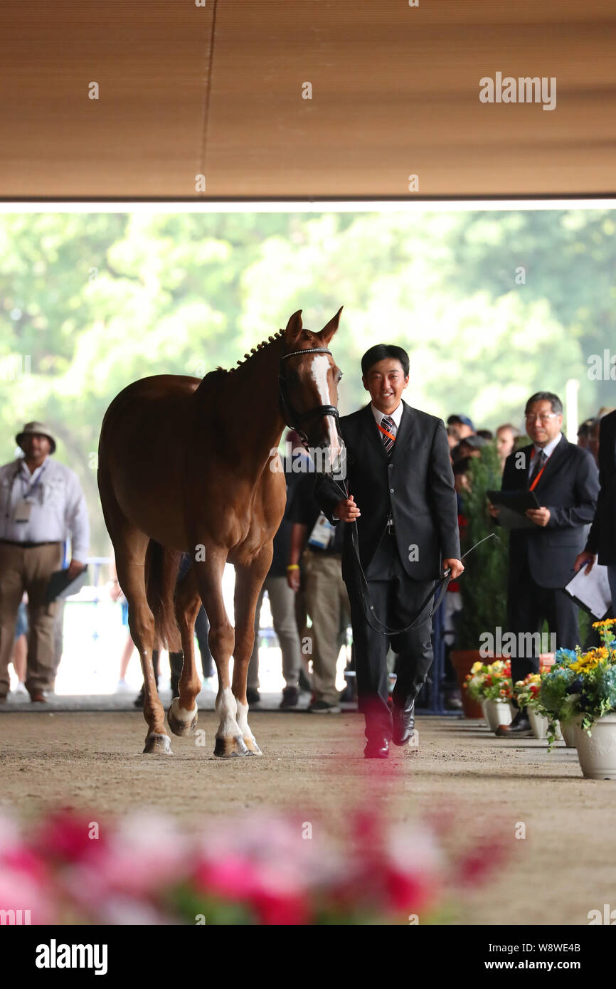 Tokyo, Japan. 11th Aug, 2019. Kazuya Otomo & Ghs Calvaruise (JPN ...