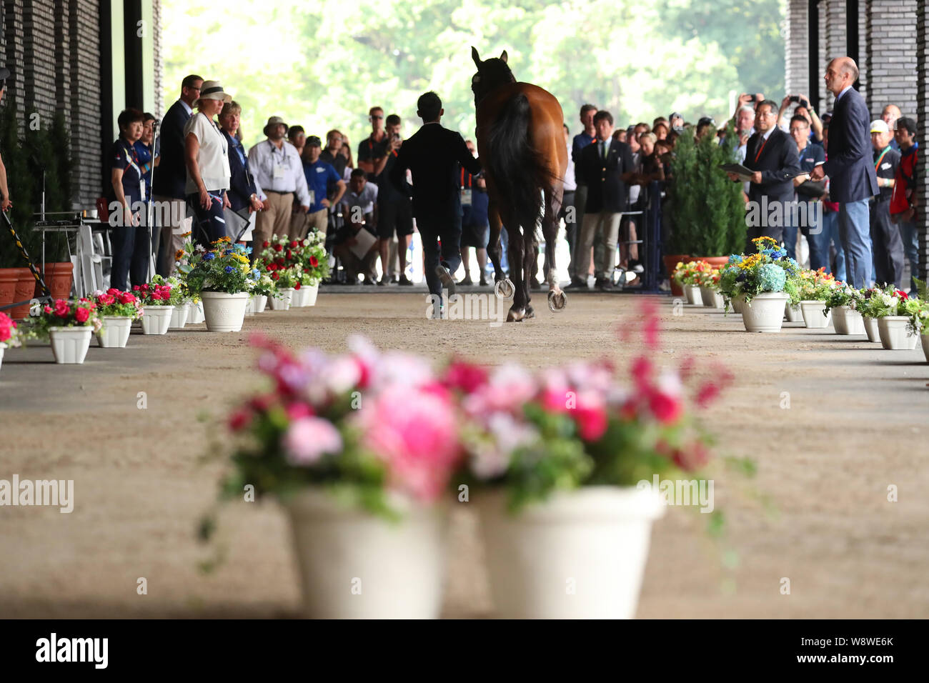 Tokyo, Japan. 11th Aug, 2019. Kazuma Tomoto & Tacoma D'horset (JPN ...