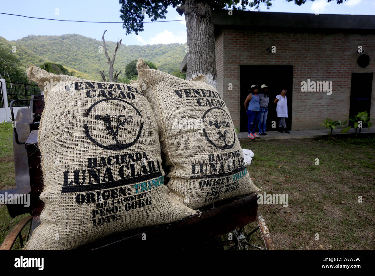 Puerto Cabello, Carabobo, Venezuela. 11th Aug, 2019. August 11, 2019 ...