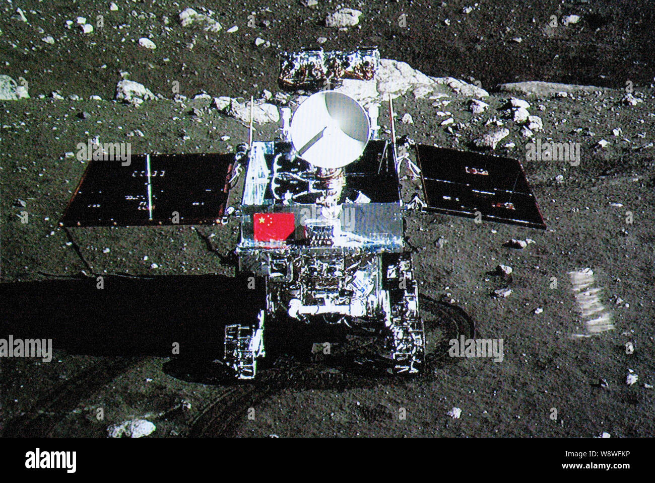 Jade rabbit hi-res stock photography and images - Alamy