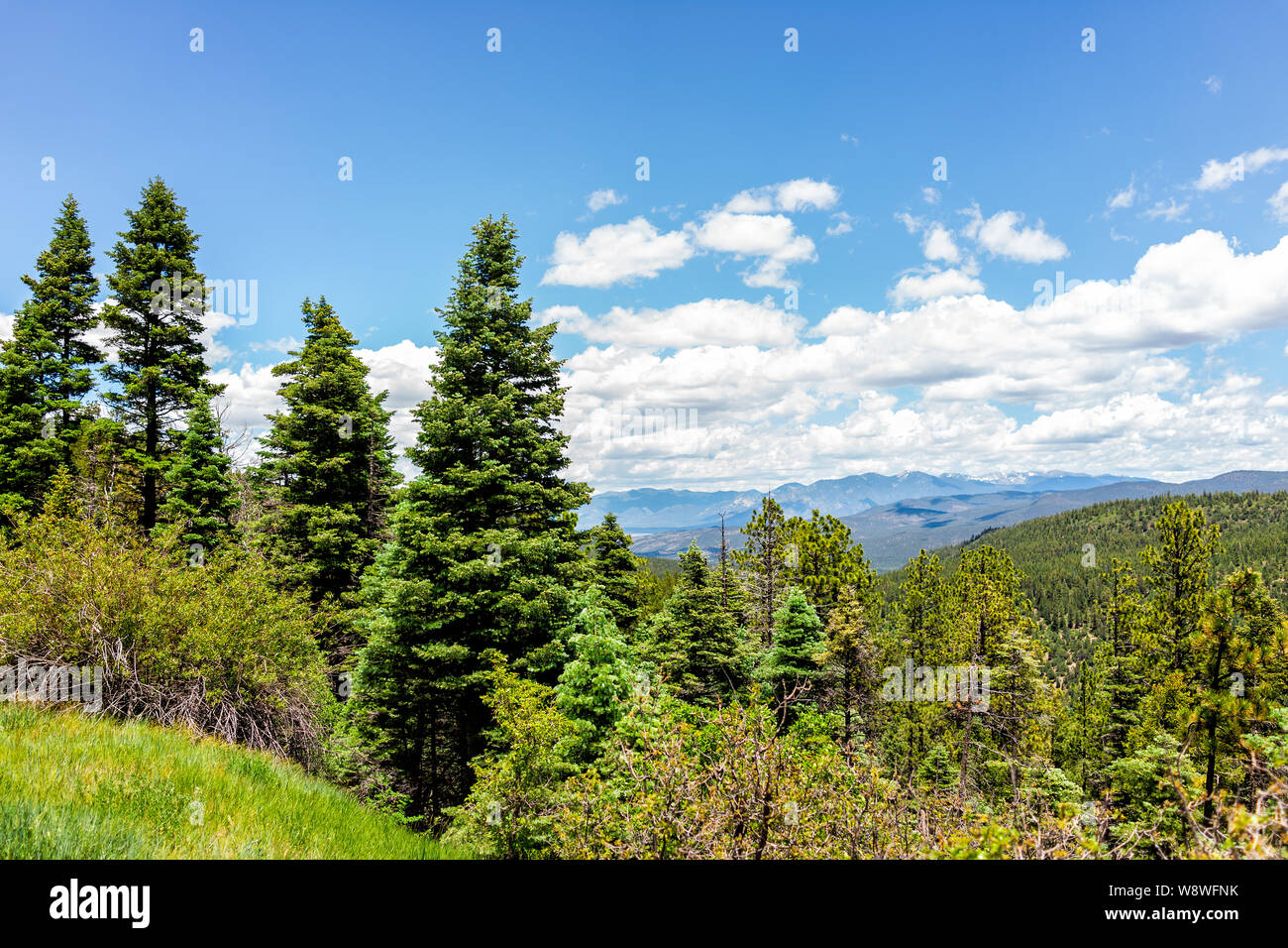 Carson national forest colorado hi-res stock photography and images - Alamy