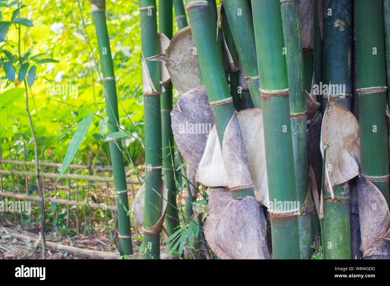 Can Bamboo Sheets Make You Itchy at Charlie Gladys blog