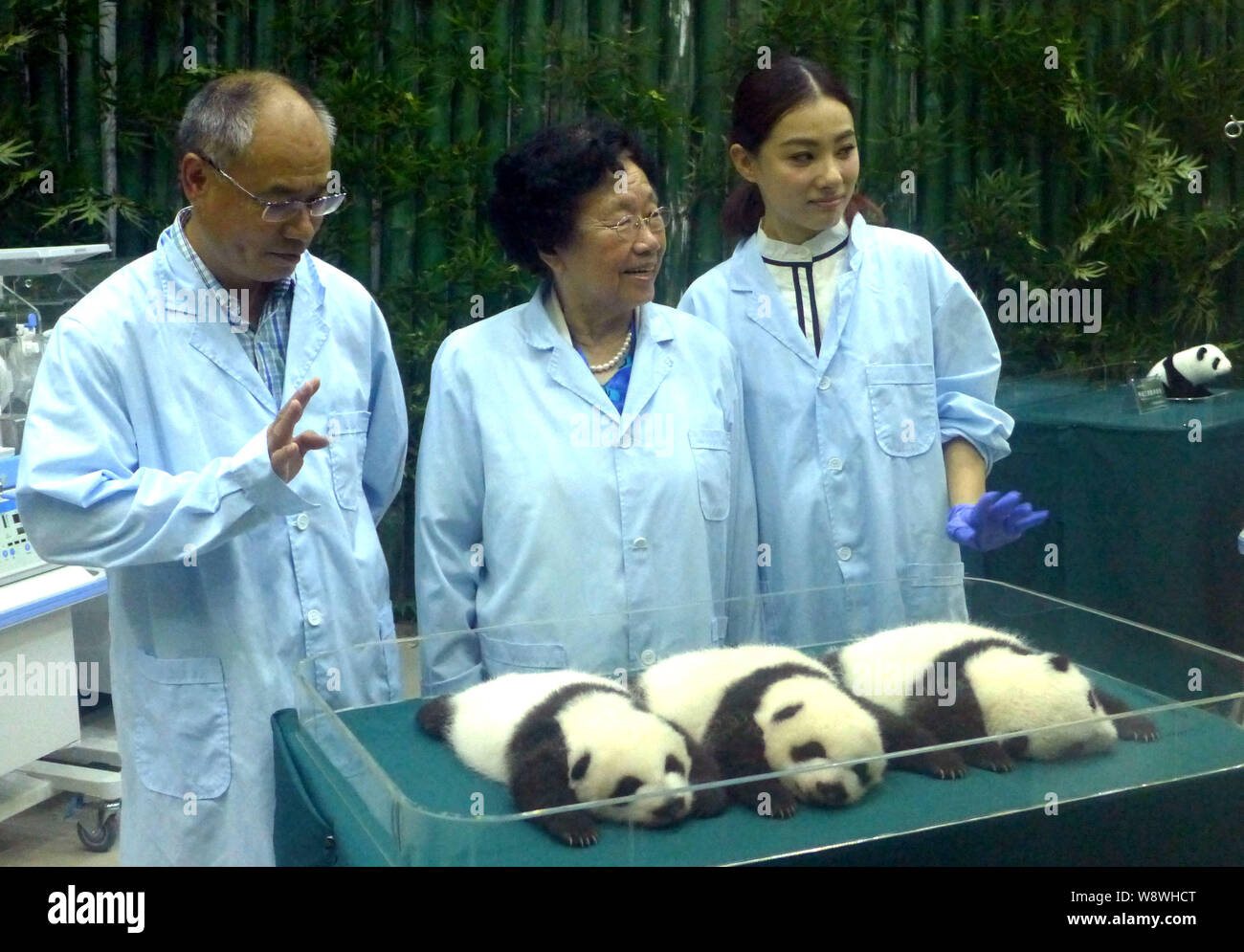 Chinese Olympic gymnastic gold medalist Li Ning, Chairman of Li-Ning ...