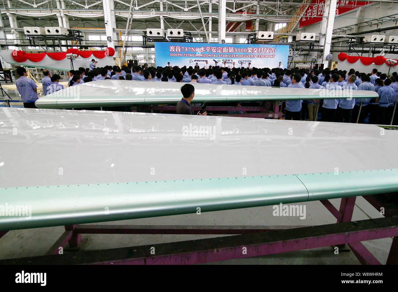 Horizontal stabilizer hi-res stock photography and images - Alamy