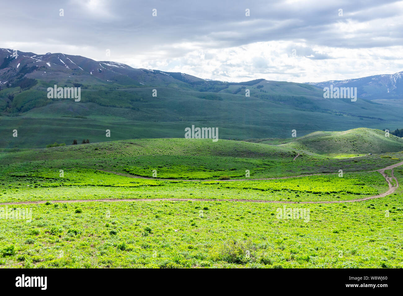 Snod grass hi-res stock photography and images - Alamy