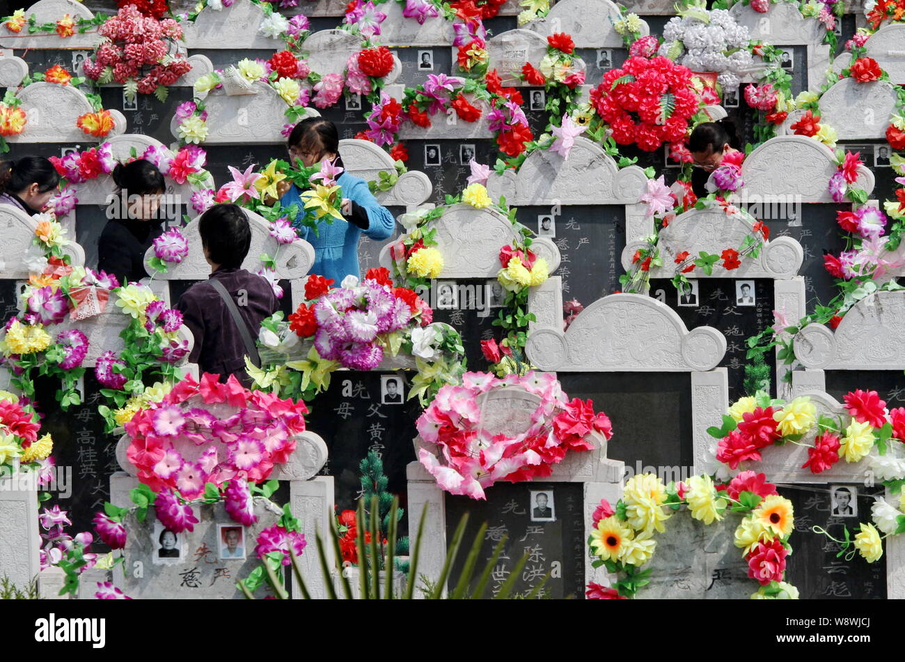 Qingming flowers hi-res stock photography and images - Alamy