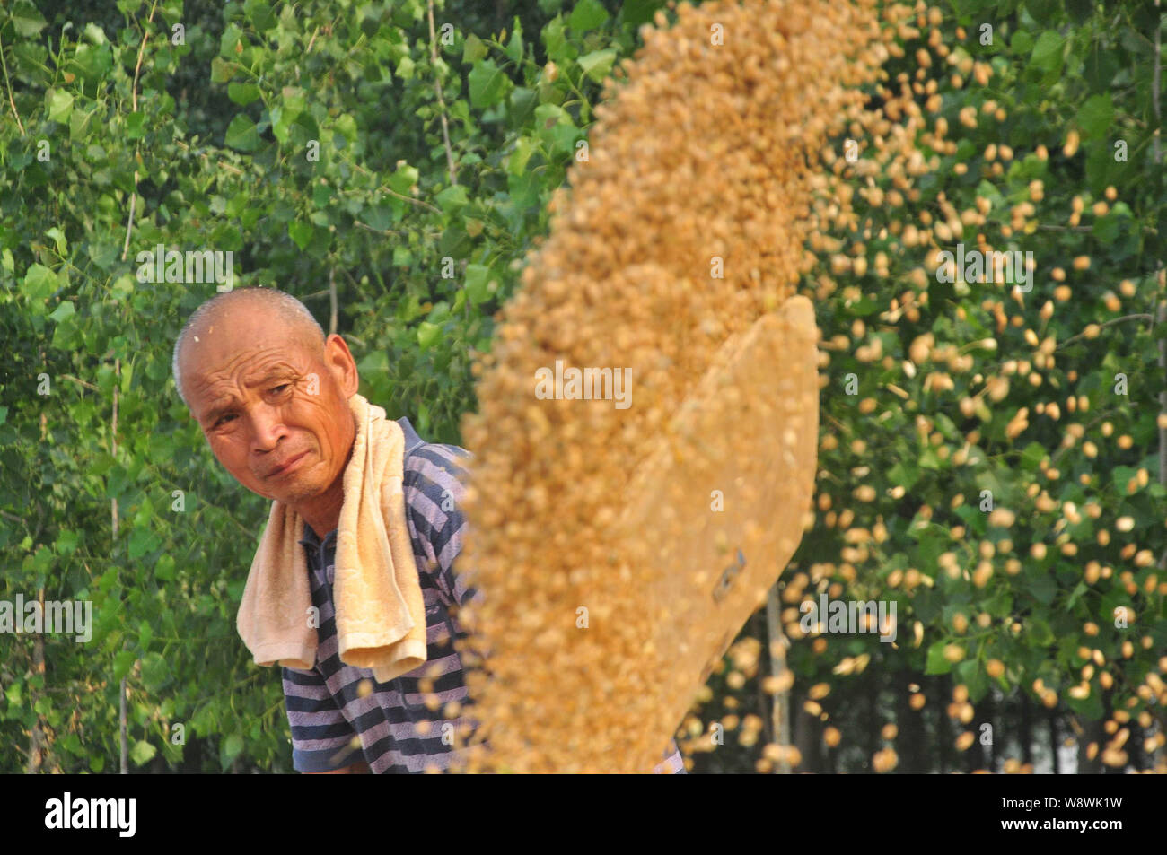 China grain output hi-res stock photography and images - Alamy