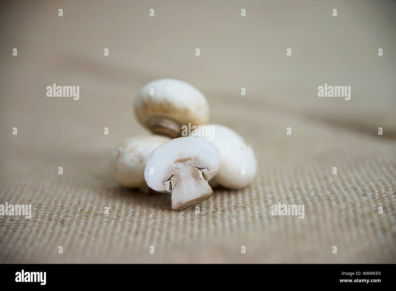 Fresh champignon mushroom vegetable in the kitchen - fresh mushroom ...