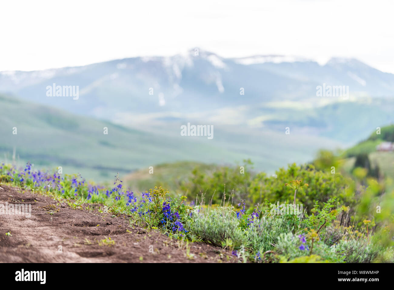 Snodgrass mountain trail hi-res stock photography and images - Alamy
