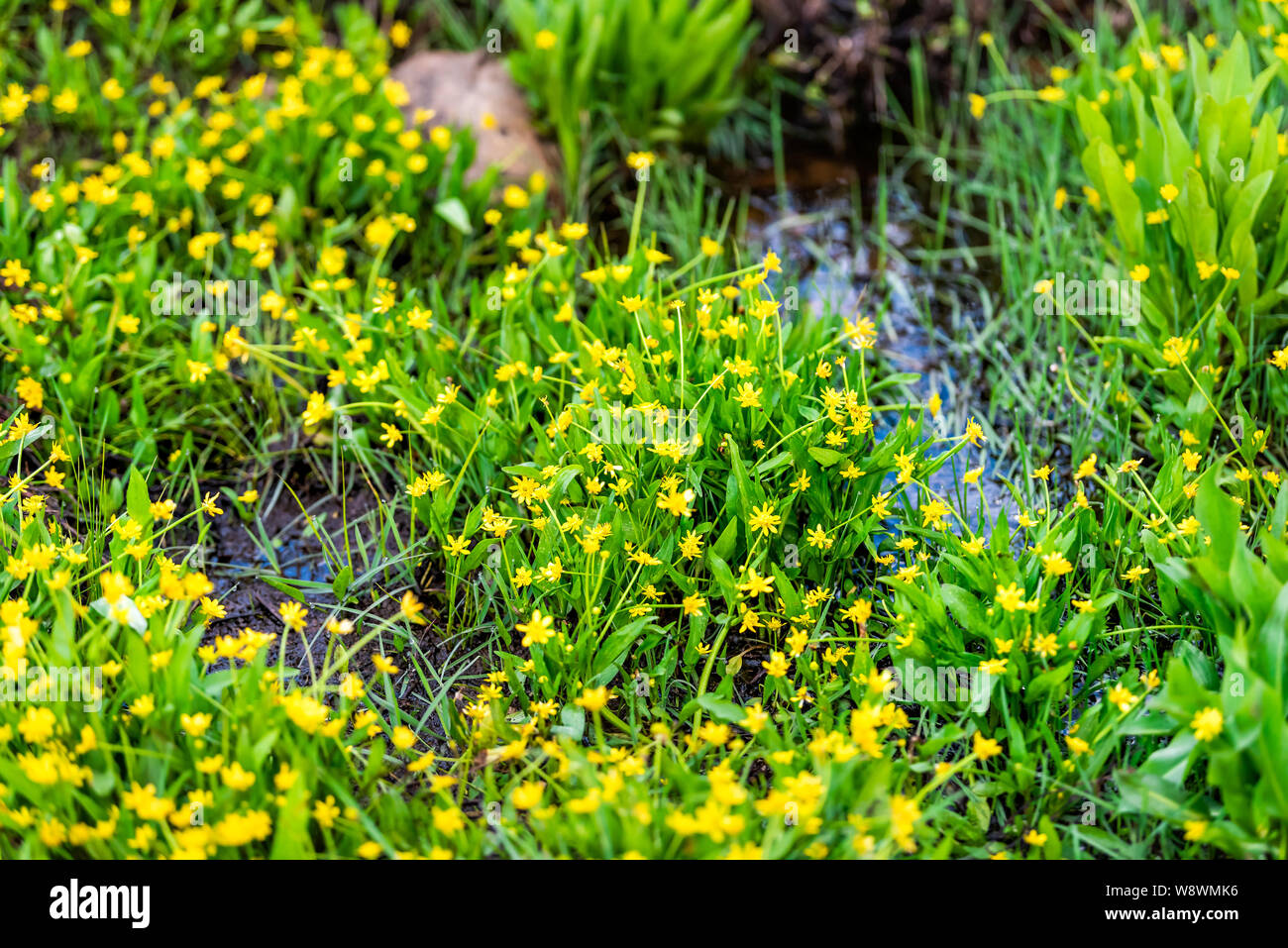 Snodgrass mountain trail hi-res stock photography and images - Alamy
