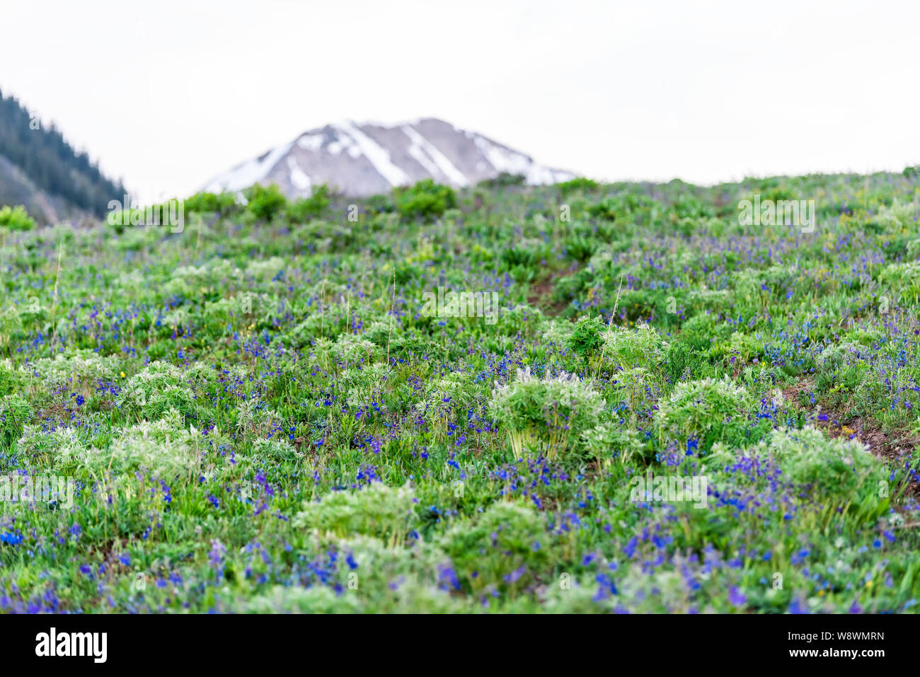 Snodgrass mountain trail hi-res stock photography and images - Alamy