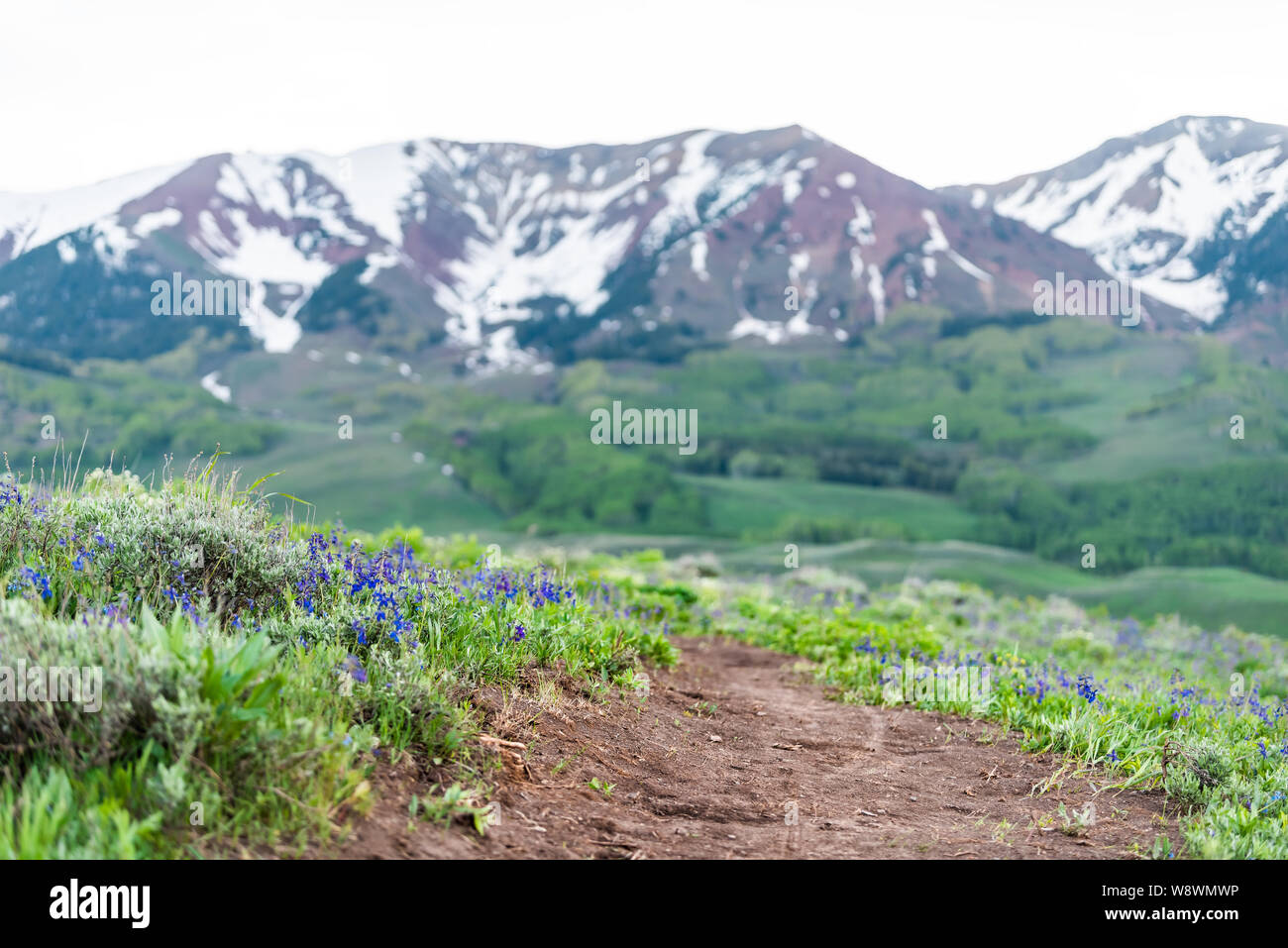 Snodgrass mountain trail hi-res stock photography and images - Alamy
