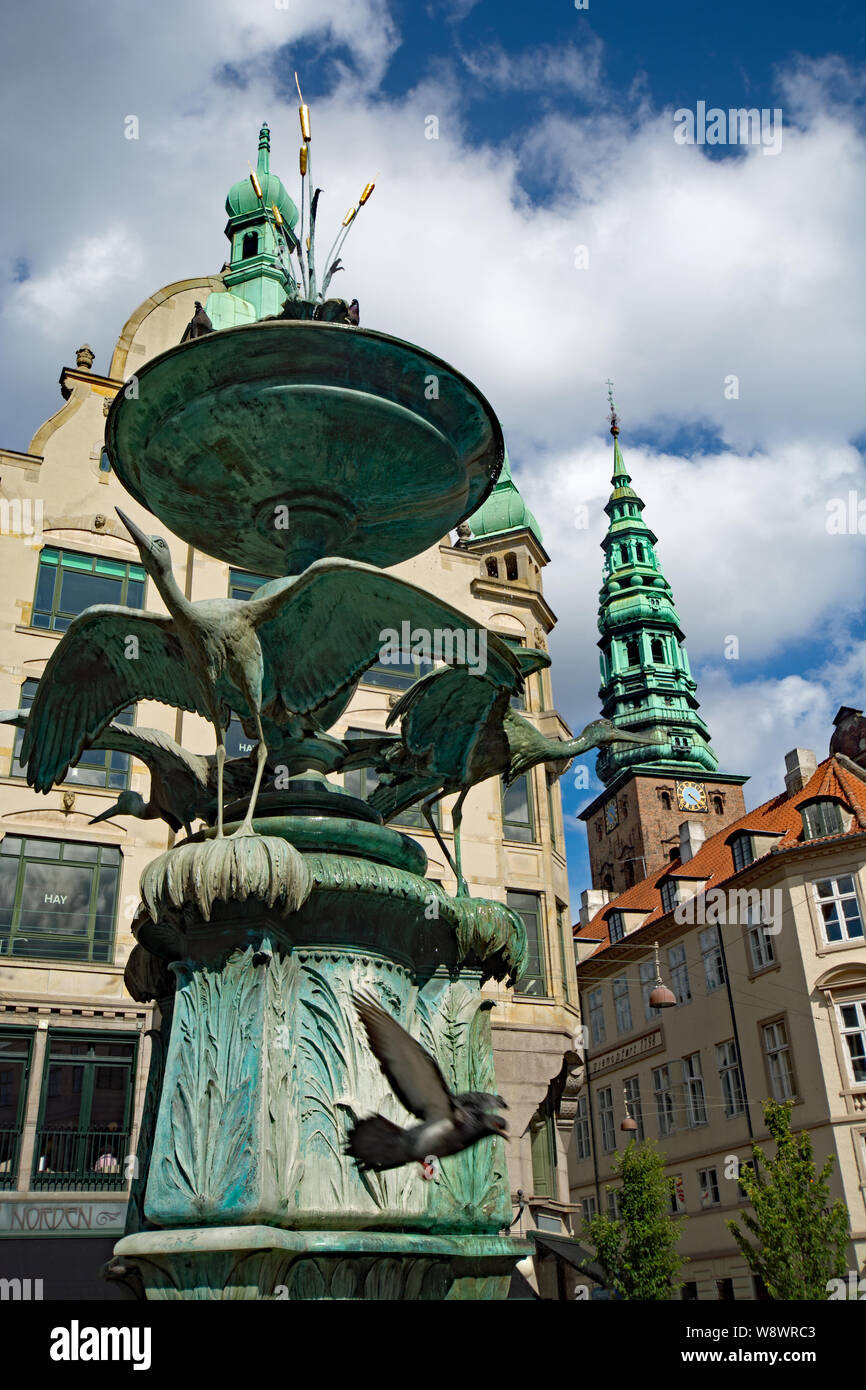 Birds of denmark hi-res stock photography and images - Alamy