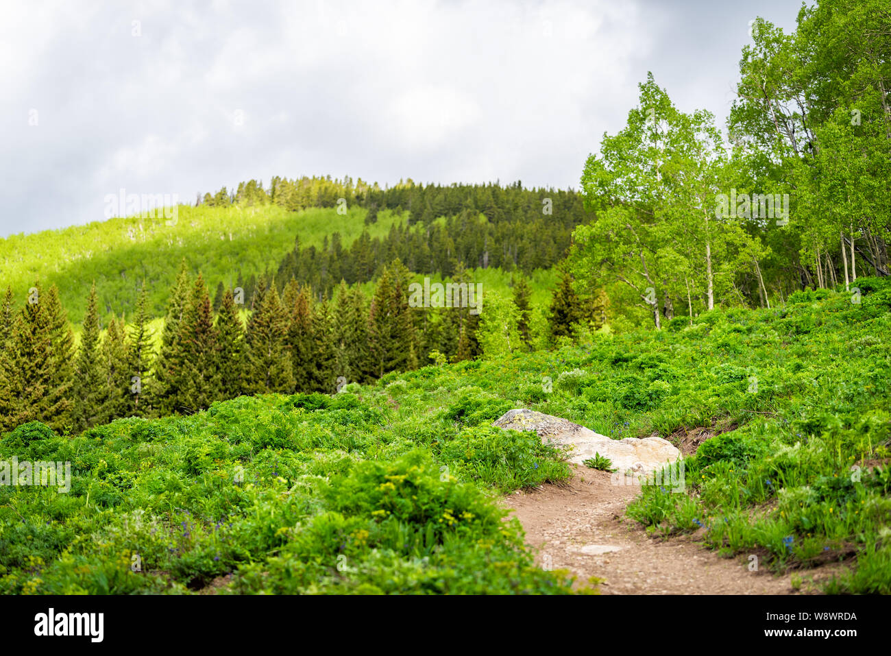Snod grass hi-res stock photography and images - Alamy