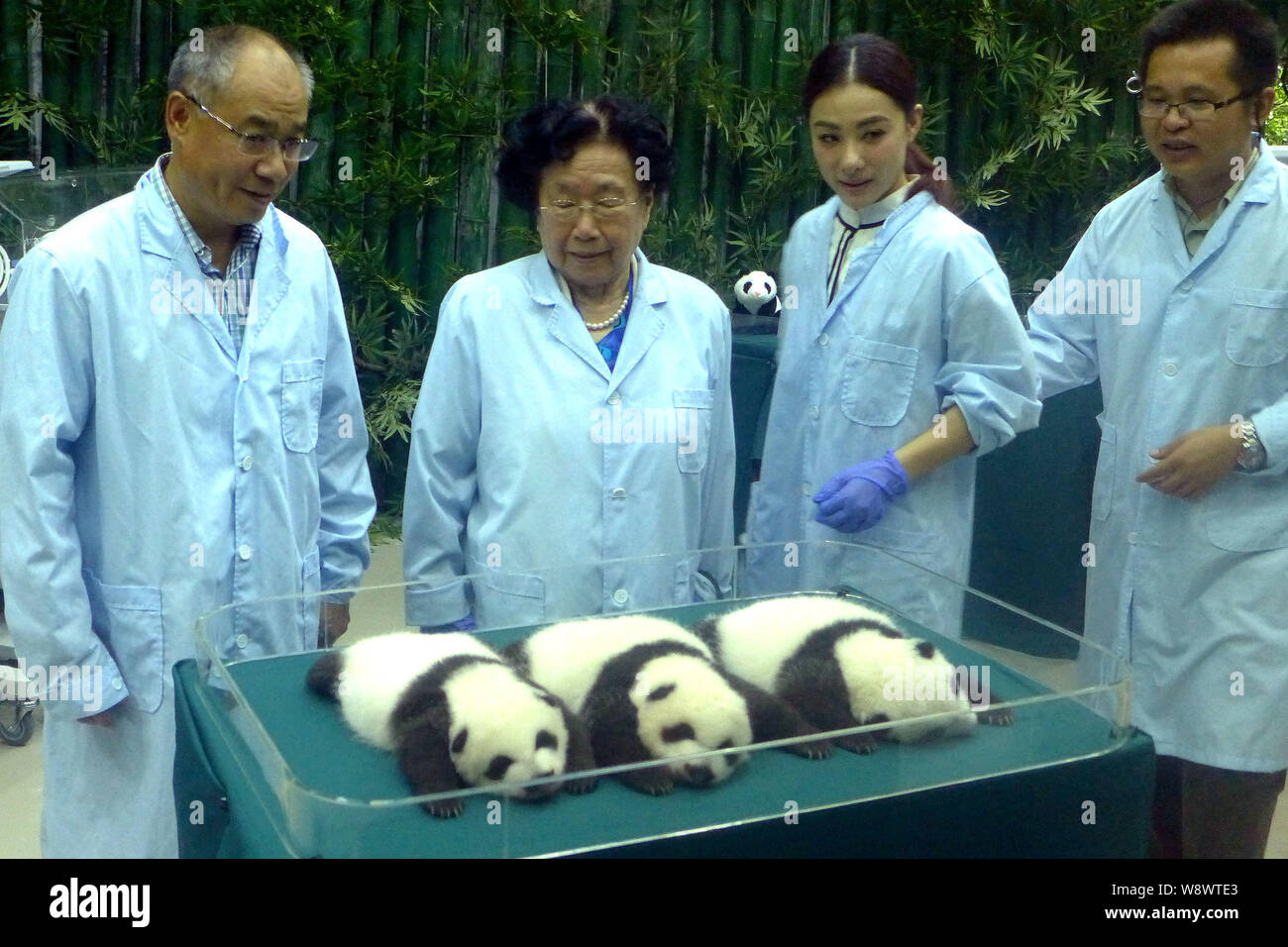 Chinese Olympic gymnastic gold medalist Li Ning, Chairman of Li-Ning ...