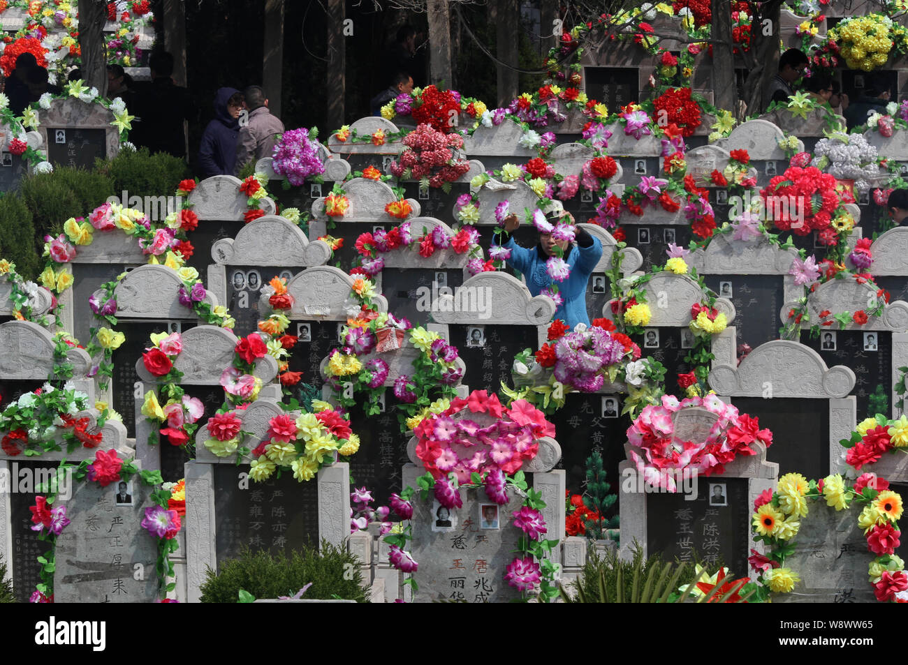Qingming flowers hi-res stock photography and images - Alamy
