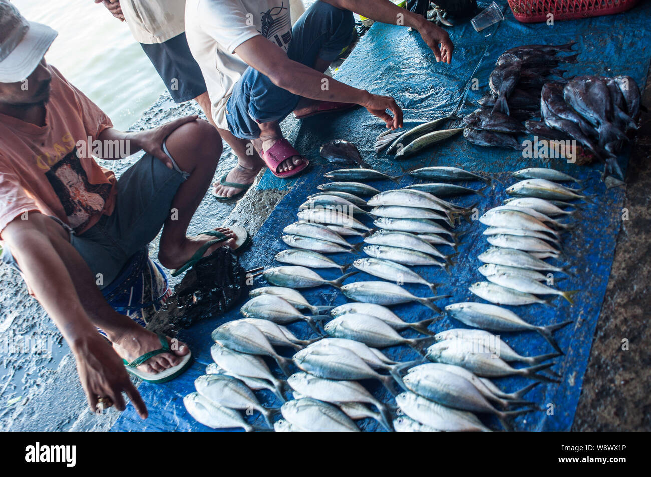 Fishmongers displays hi-res stock photography and images - Alamy