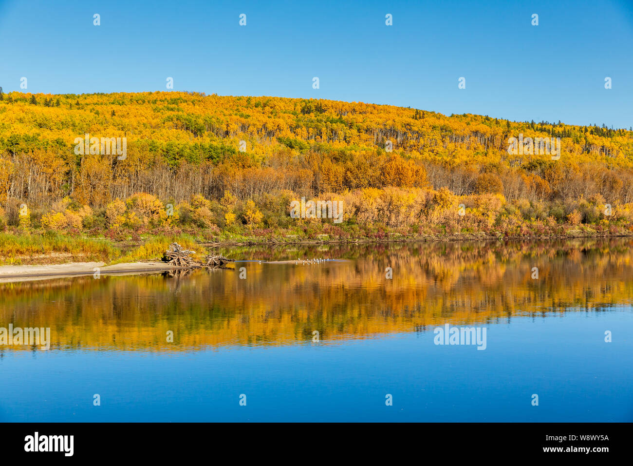 The Clearwater river in autumn as it passes beside Fort McMurray ...