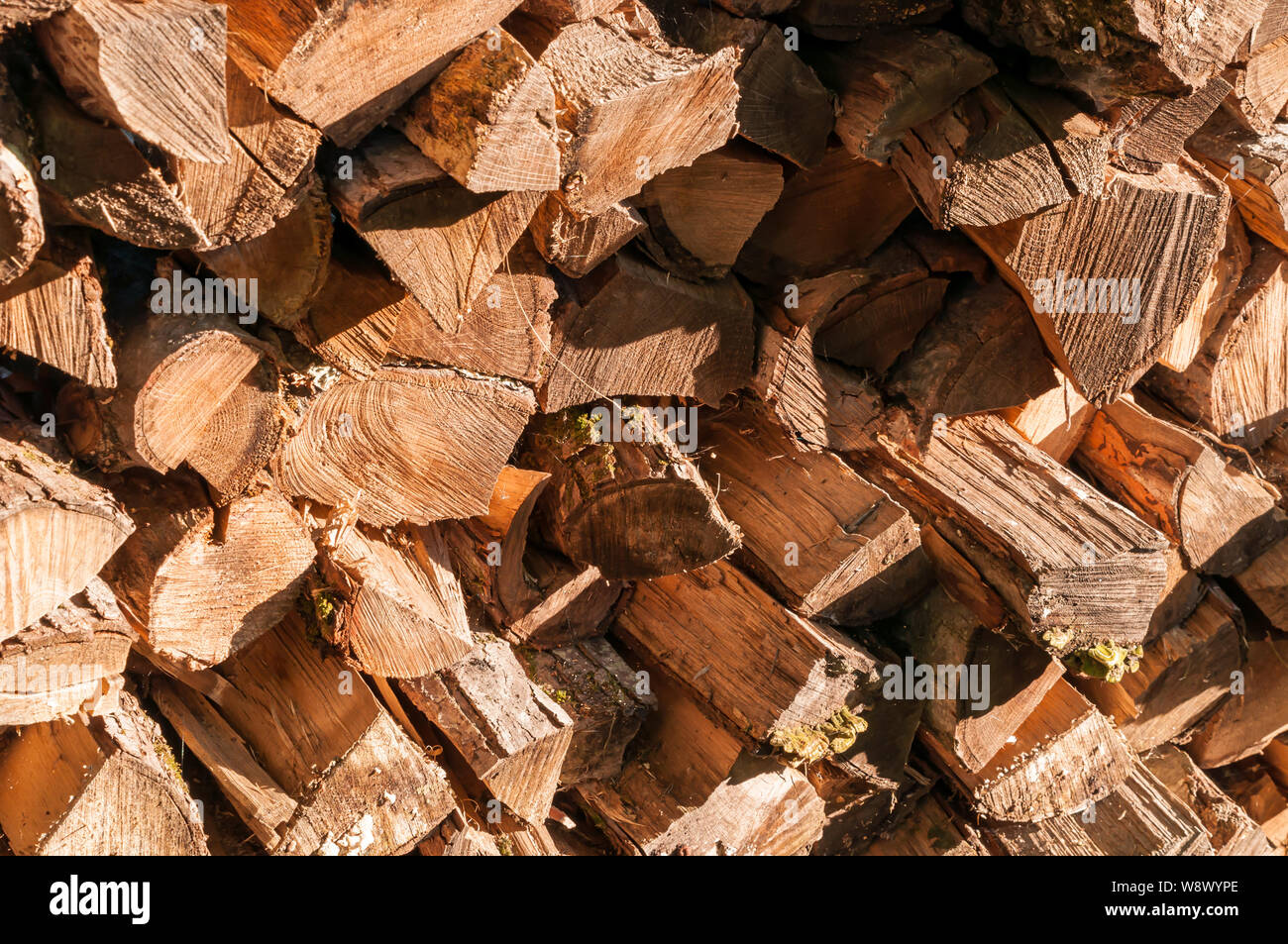 Logs of different sizes hi-res stock photography and images - Alamy