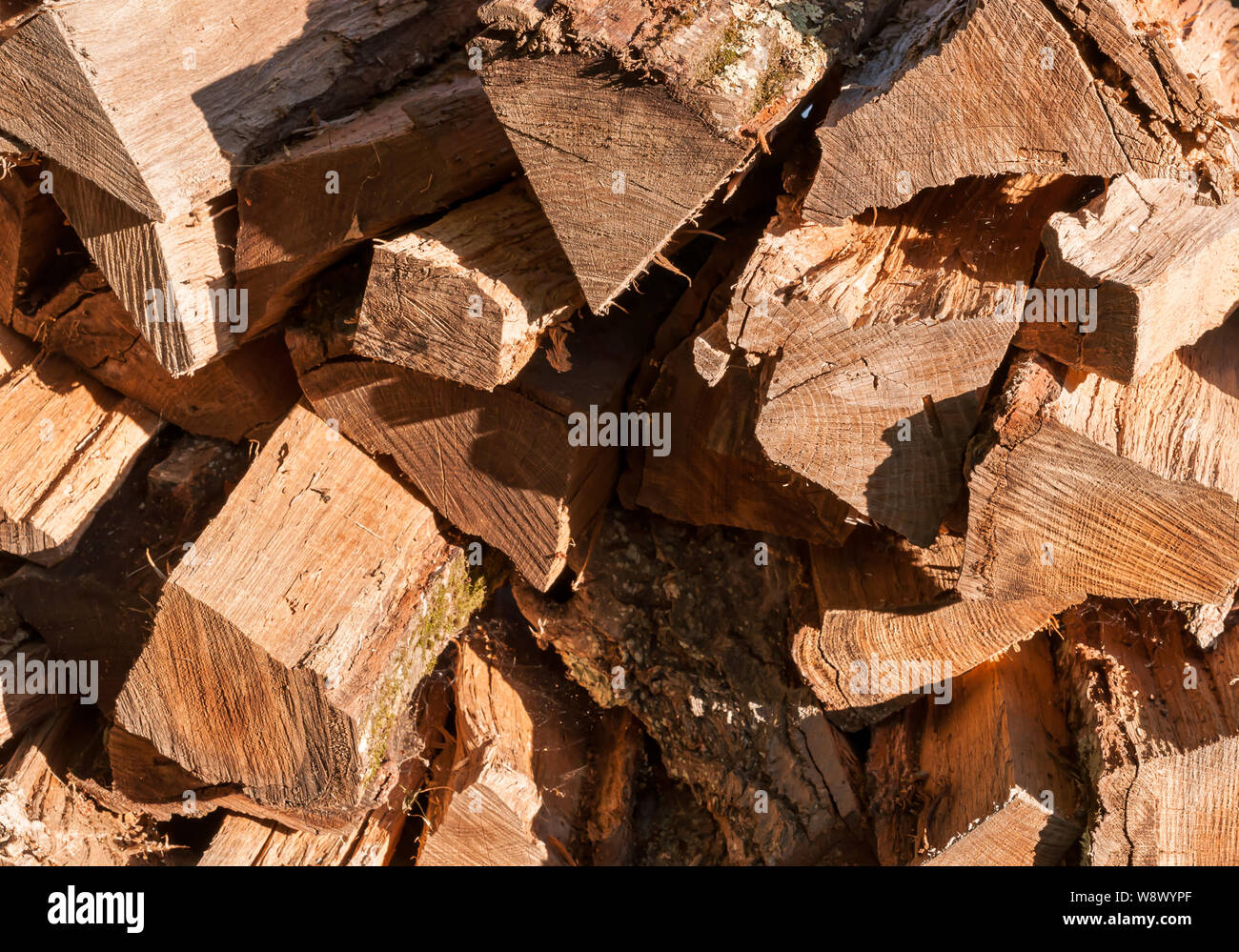 Cut and stacked logs of different sizes in bright sunshine Stock Photo ...