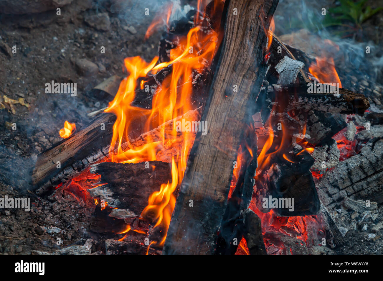 A close up of a campfire fully burning logs with smoke rising from it ...