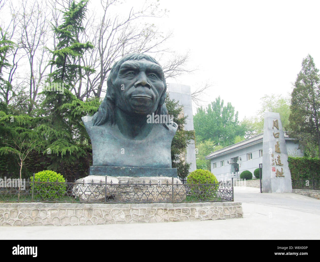 Peking man hi-res stock photography and images - Alamy