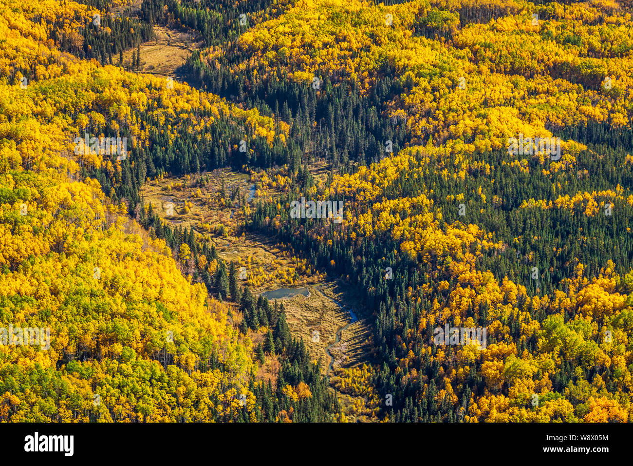 Aerial autumn view of boreal forest and marshlands south of Fort ...