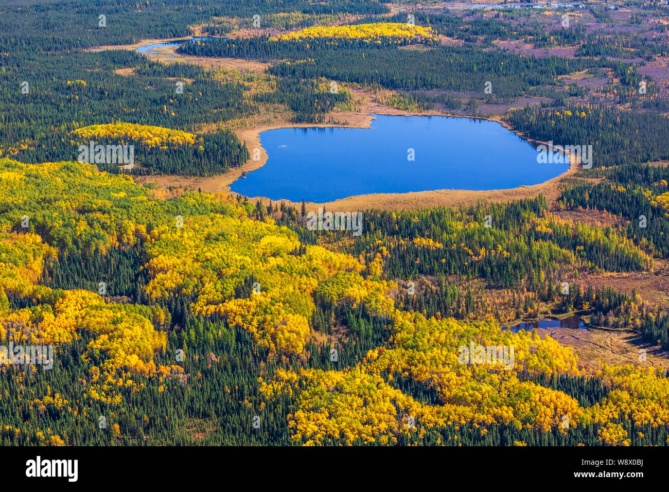 Aerial autumn view of small lake and boreal forest west of Janvier and ...