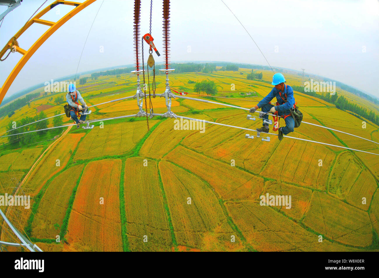 Chinese workers mount high-voltage cables over massive fields in ...