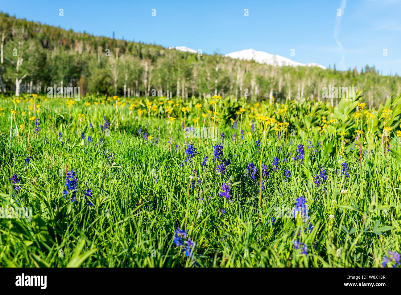 Thomas Lakes Hike in Mt Sopris, Carbondale, Colorado with view of snow ...