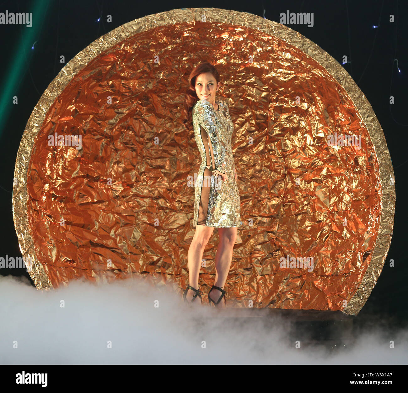 Taiwanese singer and actress Landy Wen poses during a press conference ...