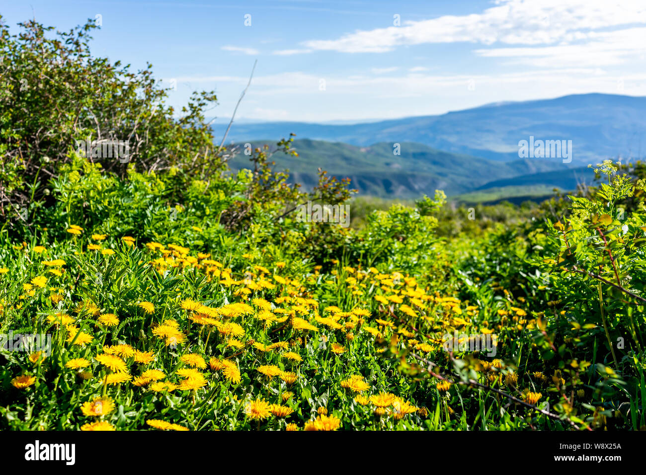 Thomas lakes hi-res stock photography and images - Alamy