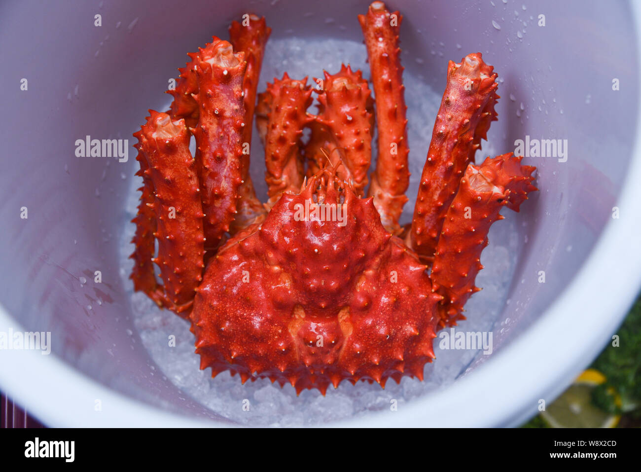 Alaskan King Crab on ice bucket top view / red crab hokkaido at seafood ...