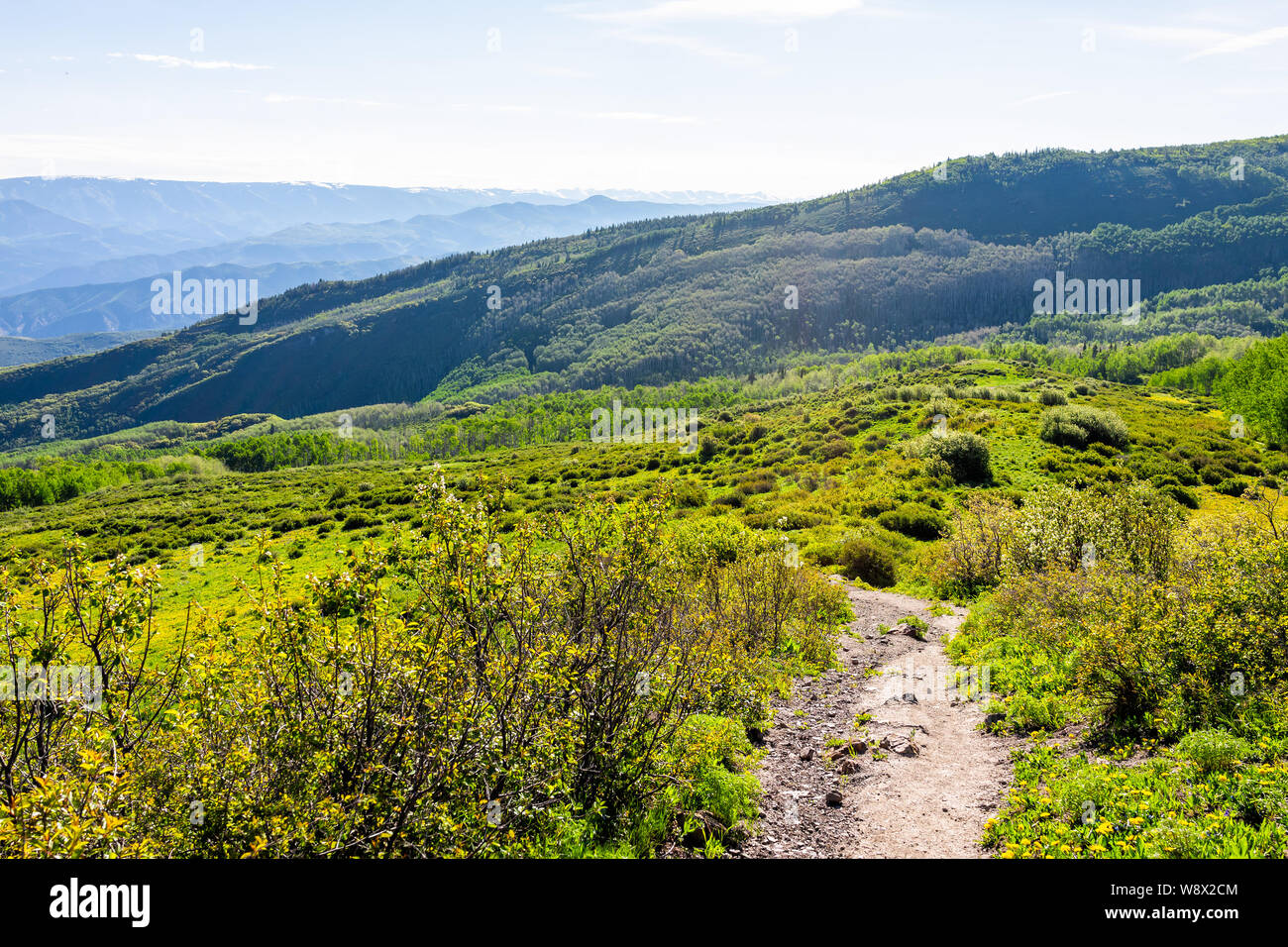Trail path through meadow on Thomas Lakes Hike trail in Mt Sopris ...
