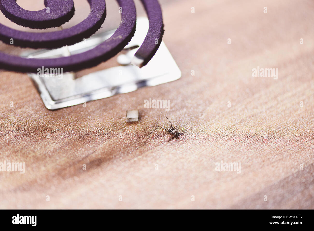 Burning mosquito hi-res stock photography and images - Alamy