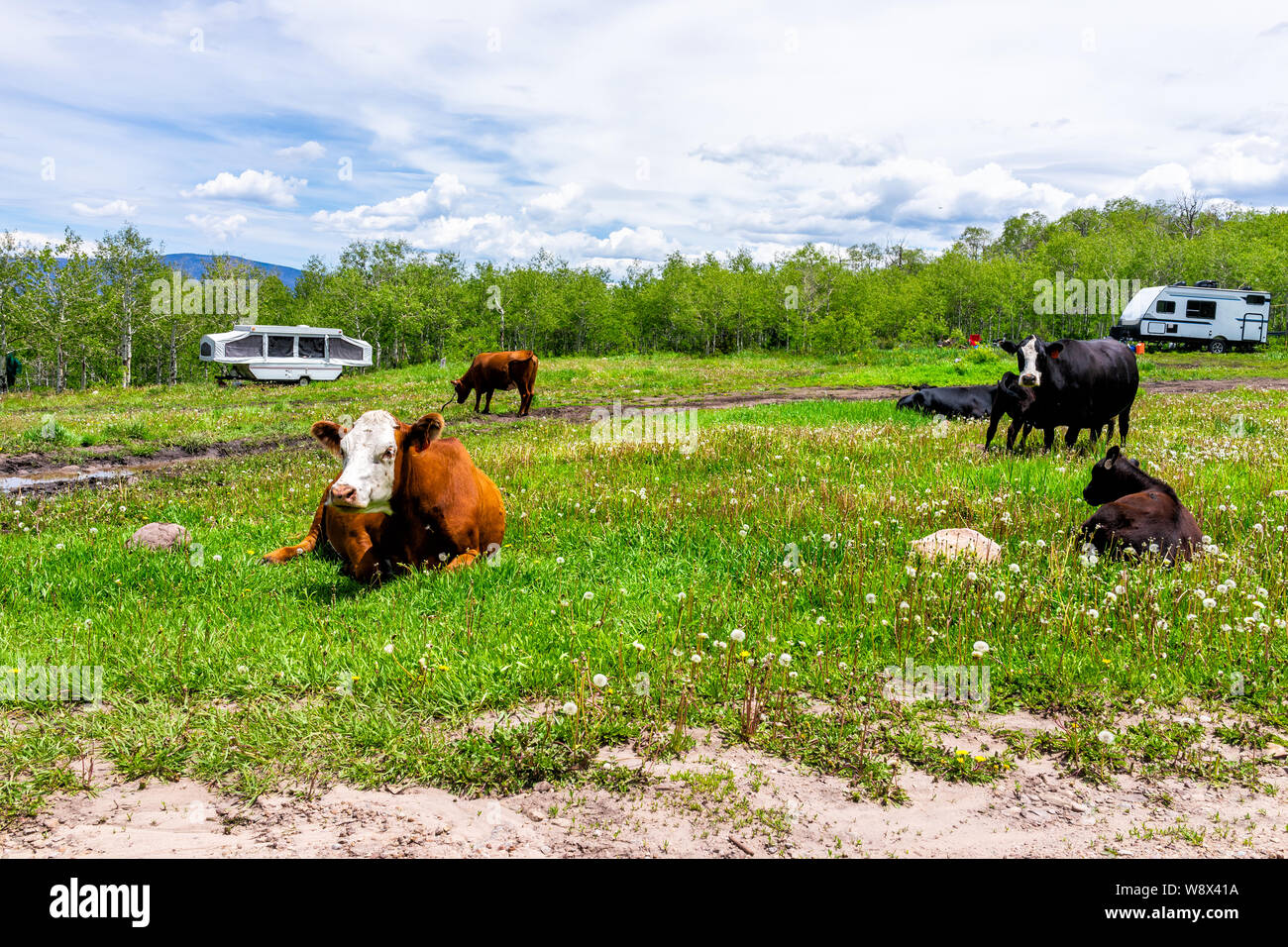 Brown ranch trailhead hi-res stock photography and images - Alamy
