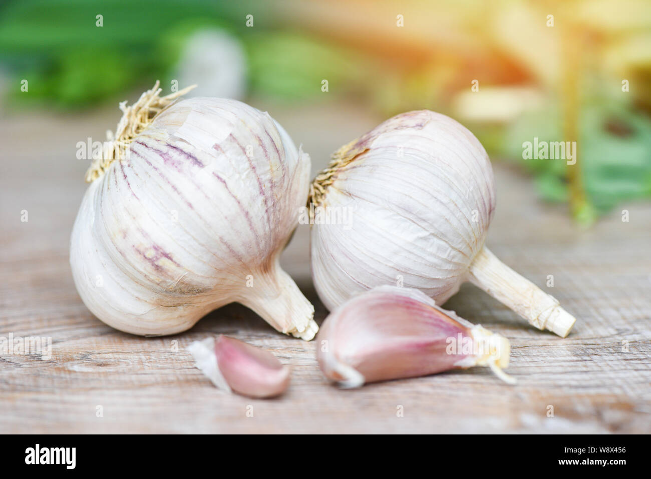 Garlic Cloves and Garlic Bulb / Vitamin healthy food spice for spicy ...