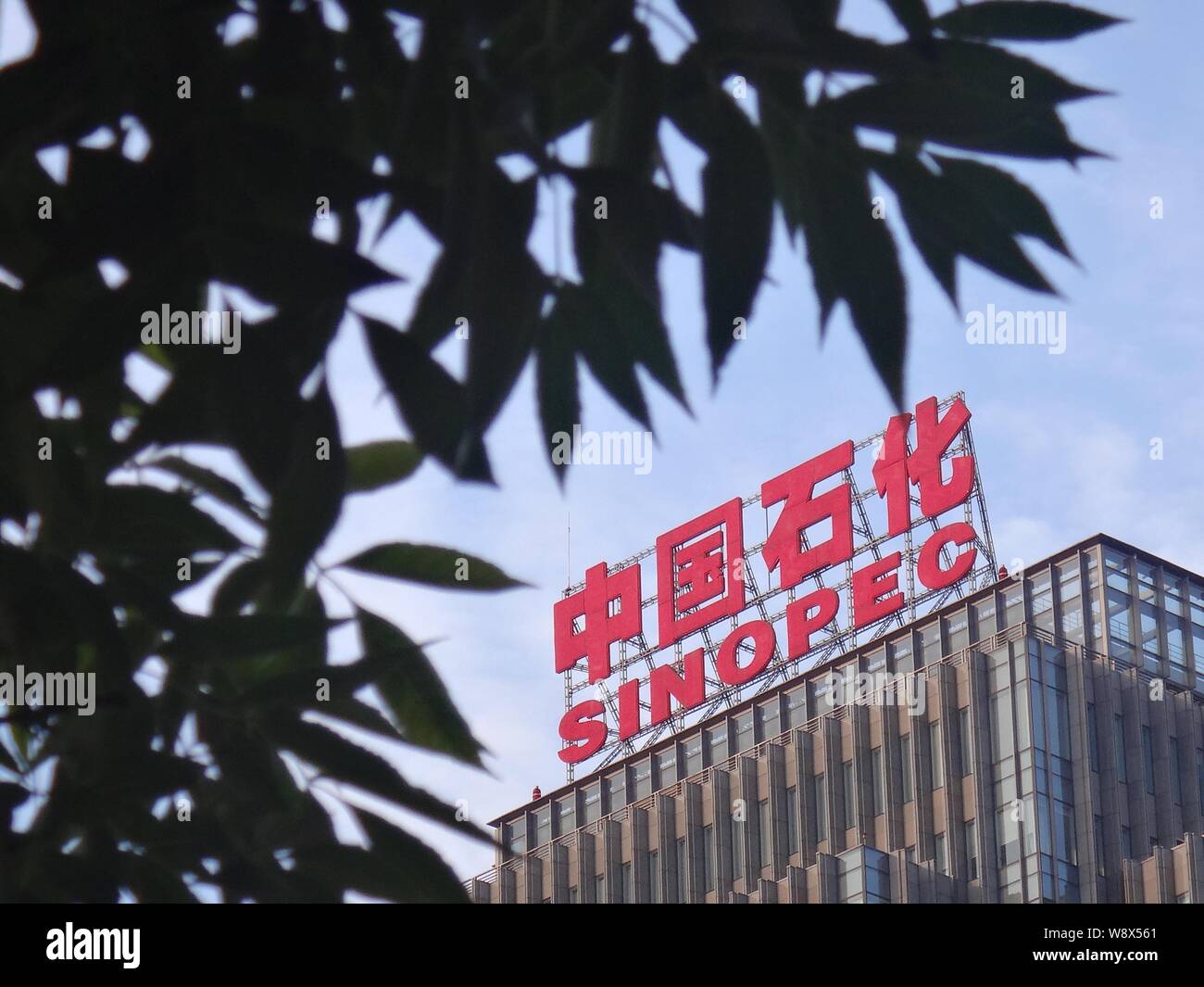 --FILE--View of the headquarters building of Sinopec in Beijing, China ...