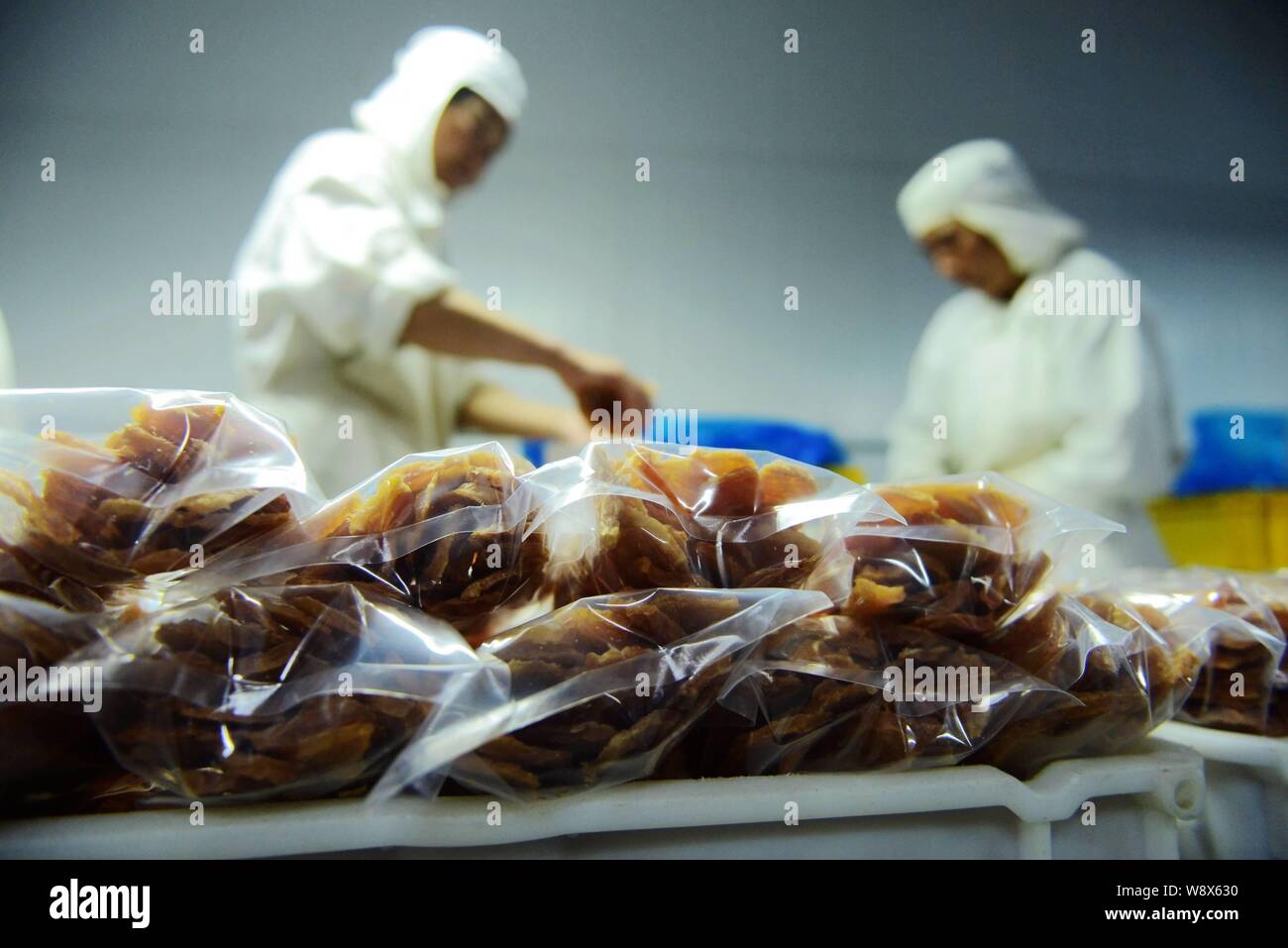 Pet food factory hi-res stock photography and images - Alamy
