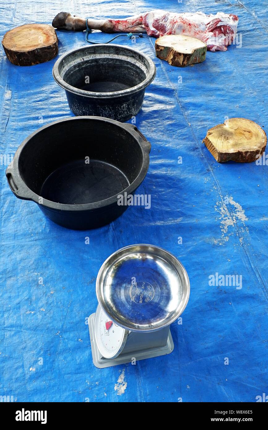A weight scale, buckets, cutting boards and a skinned cow leg on a blue ...