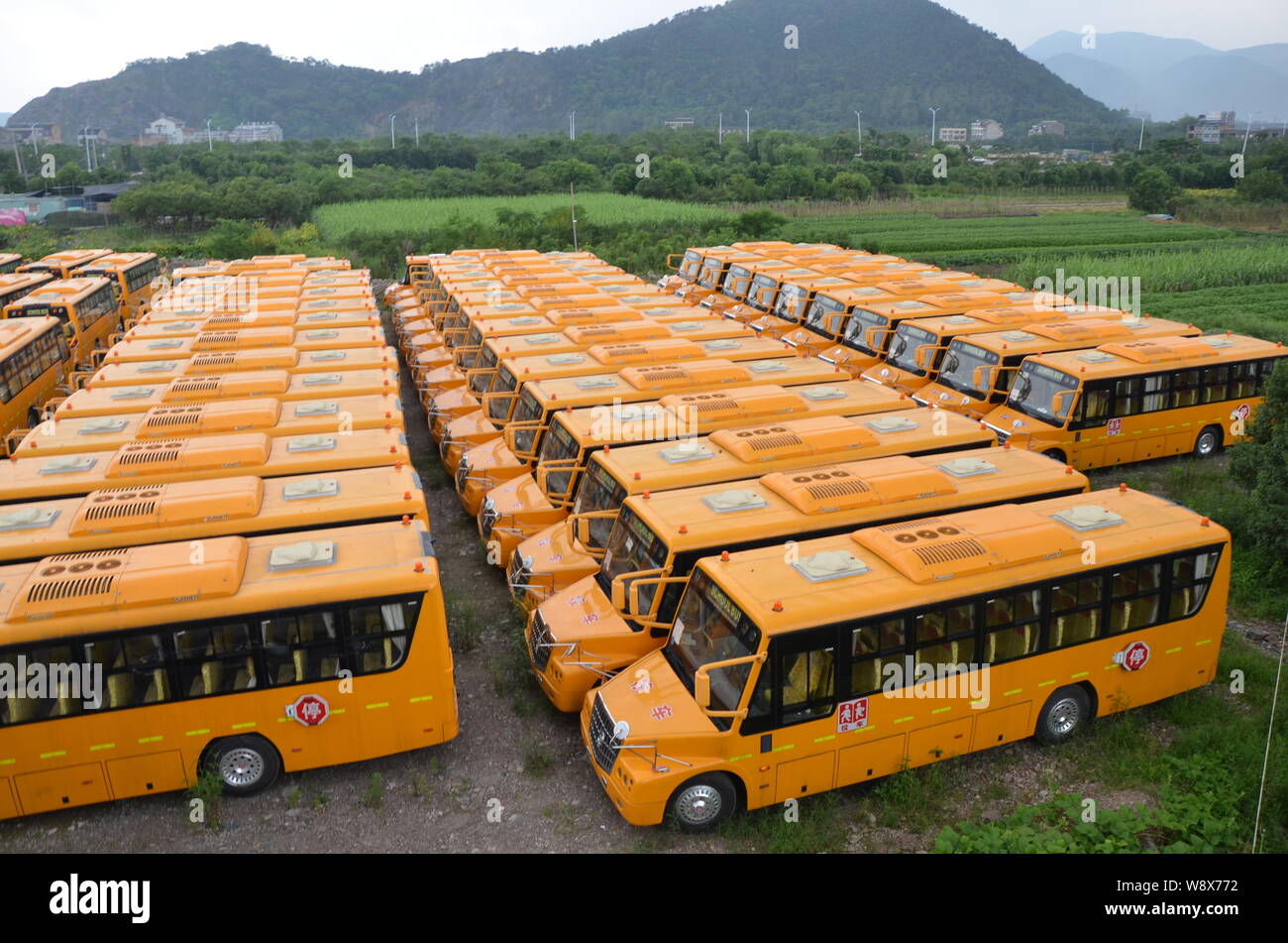 New school buses hi-res stock photography and images - Alamy