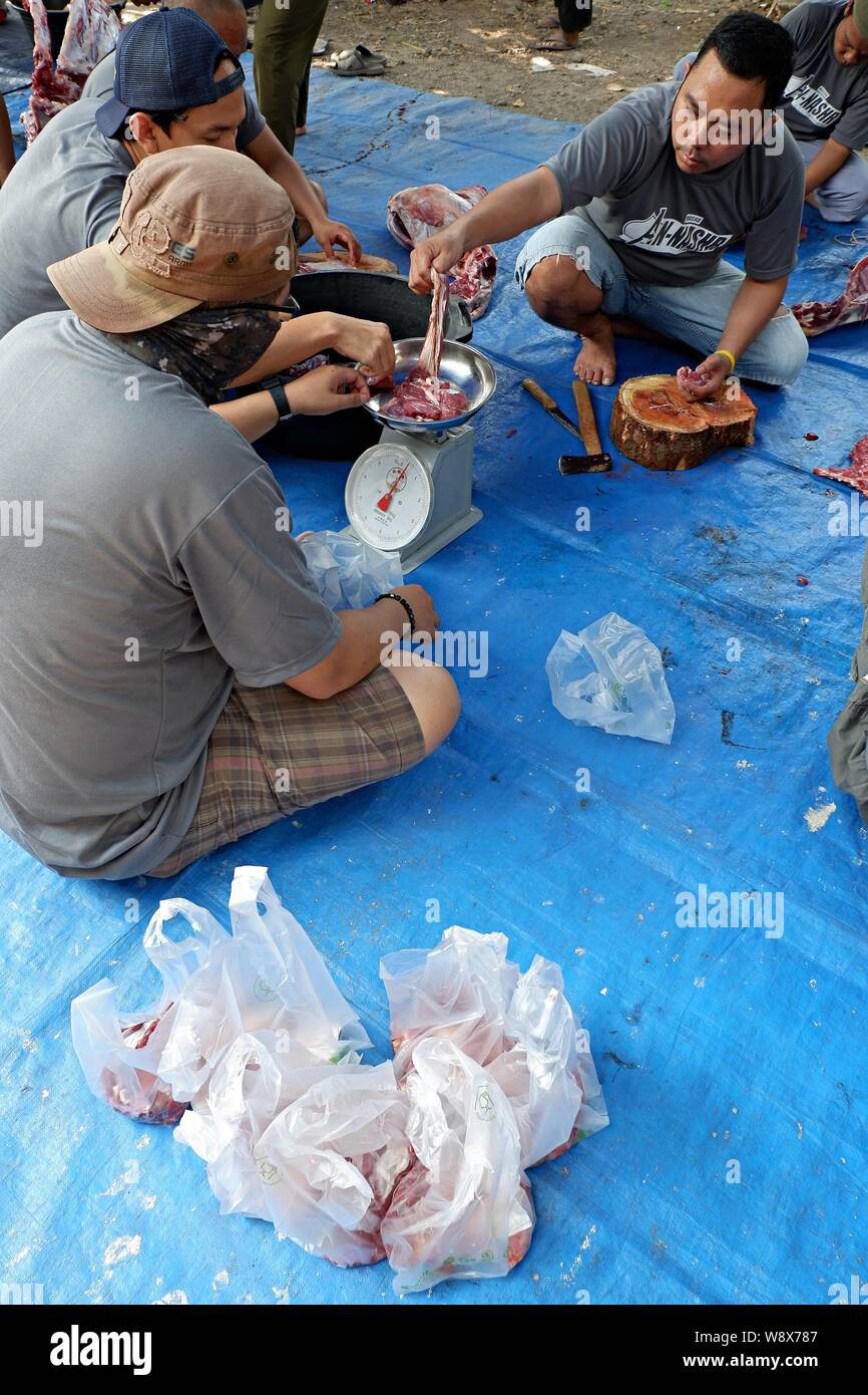 Some volunteers cut the sacrificial meat in Eid al Adha day. Eid al ...