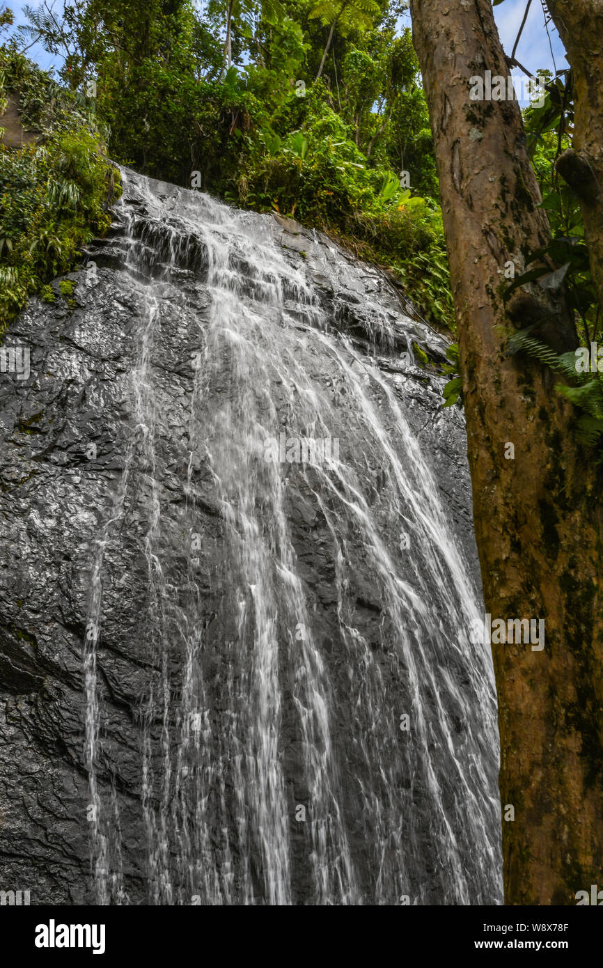 Waterfalls In Puerto Rico
