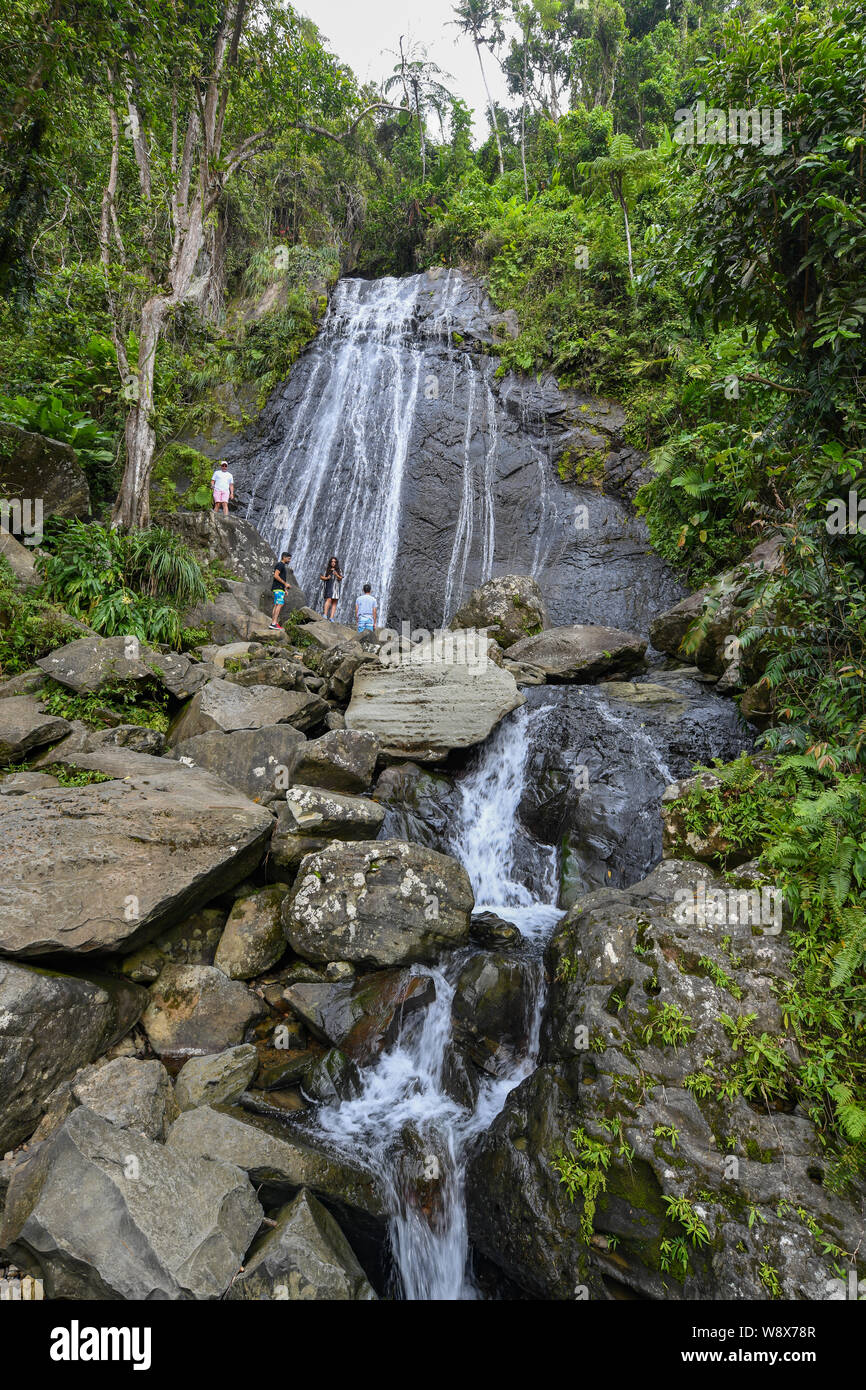 La Coca waterfall in El Yunque National Forest - waterfall tourists in ...