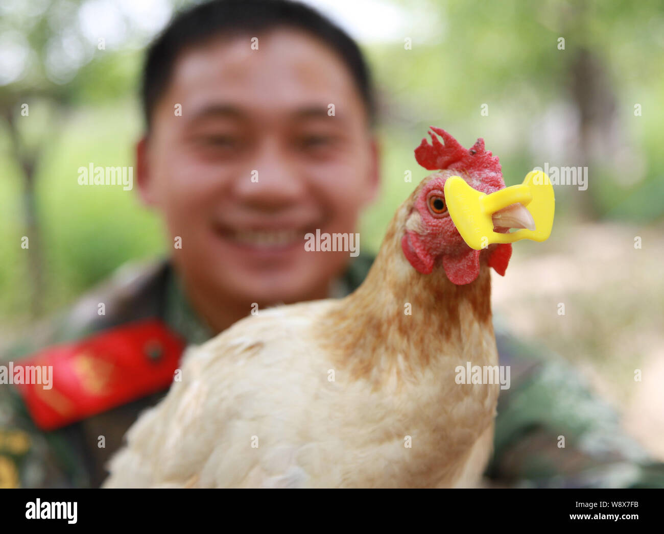 Frontier Defence Stock Photos & Frontier Defence Stock Images - Alamy