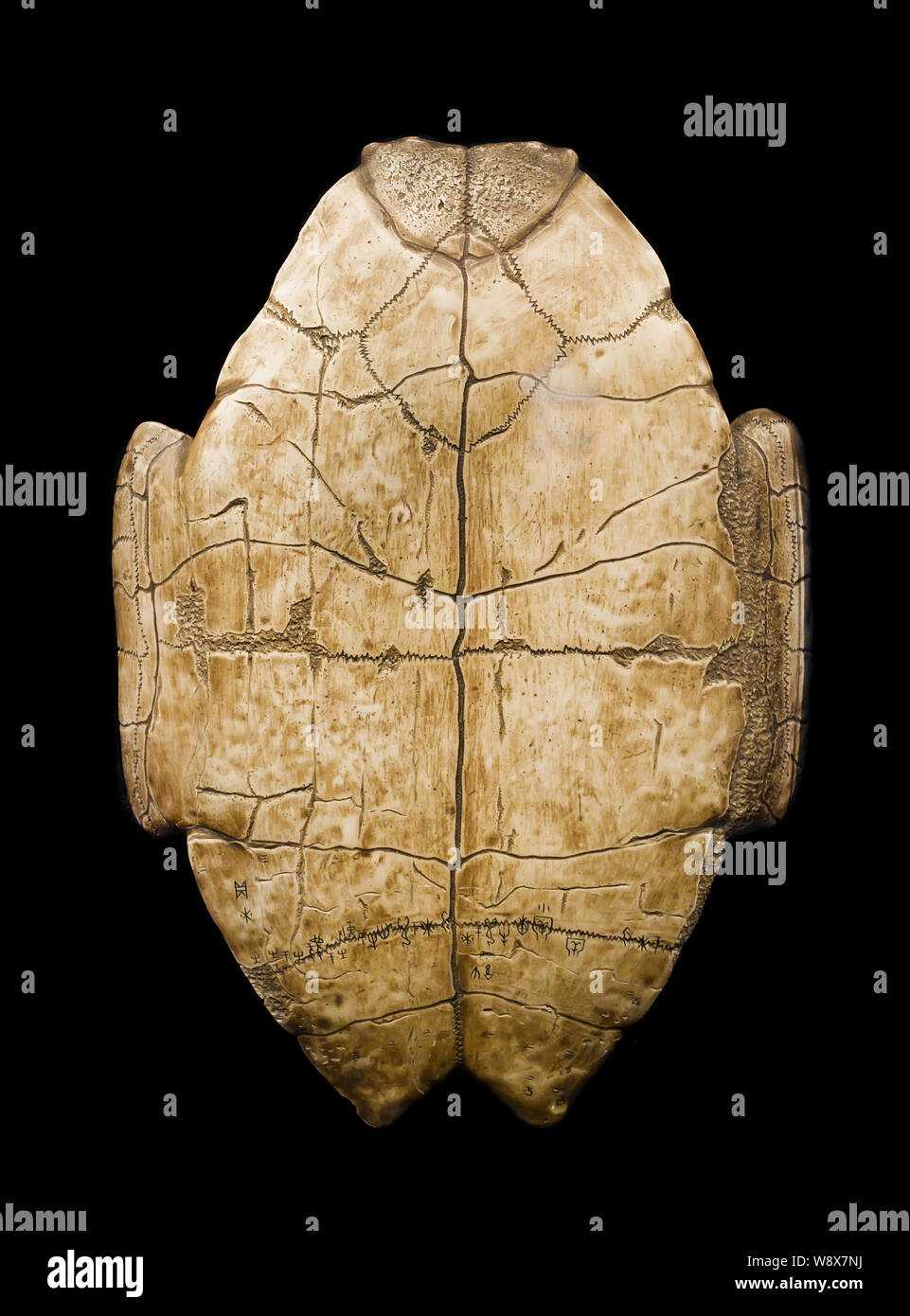 Shang dynasty hi-res stock photography and images - Alamy